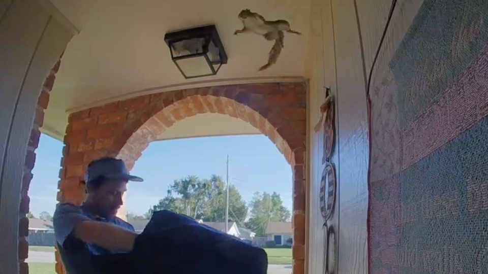 Squirrel Launches Itself Inside Home | WeatherBug