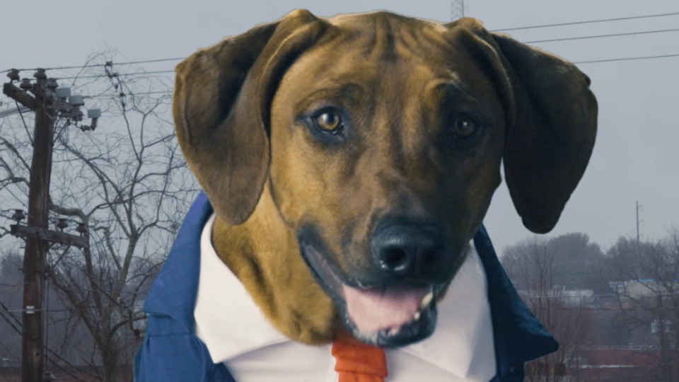 WeatherPug WBK9 Chilly Weather Forecast | WeatherBug