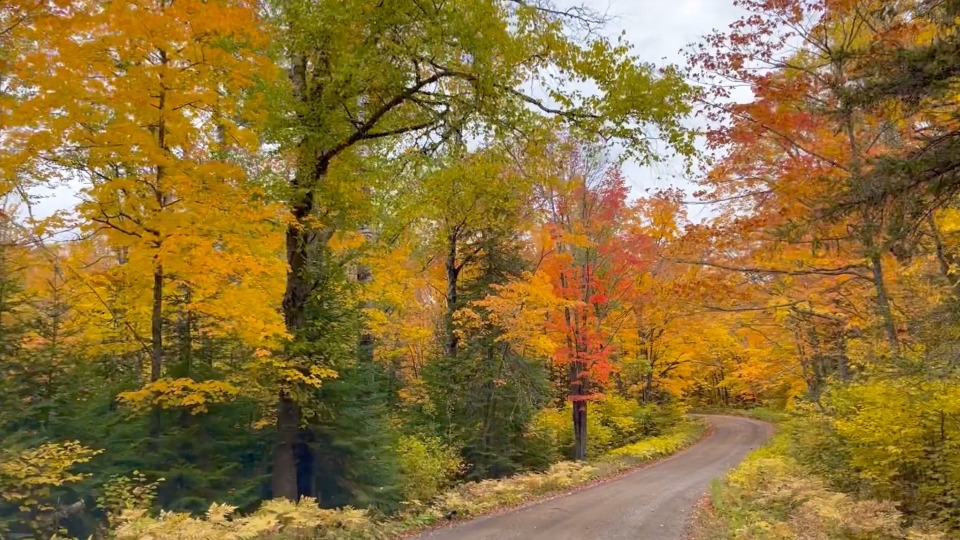 Road Trip Takes in Beautiful Fall Colors in Minnesota | WeatherBug