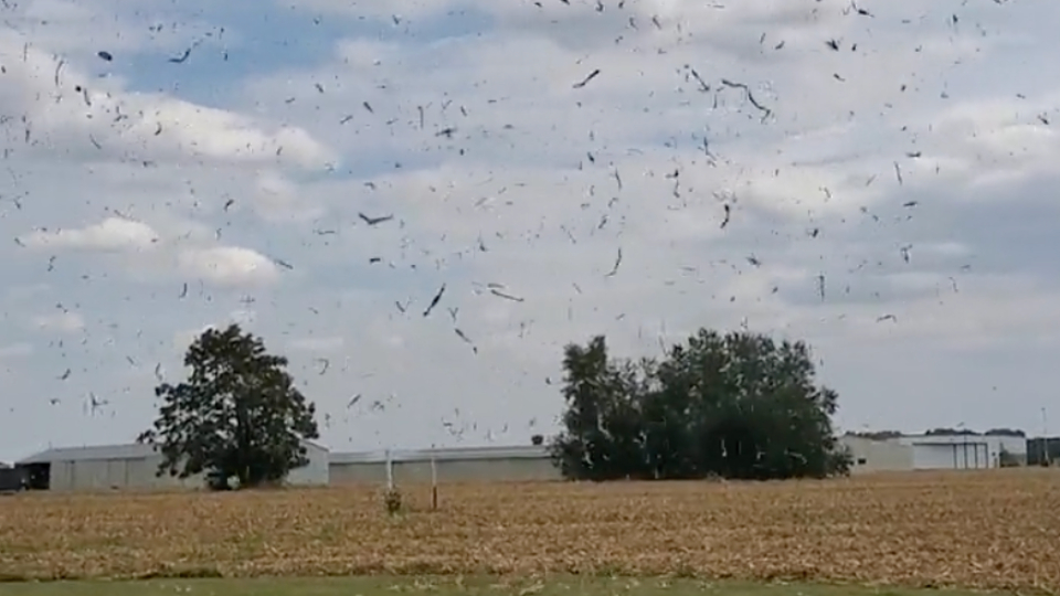 Corn Devil Forms in Freshly Harvested Field | WeatherBug