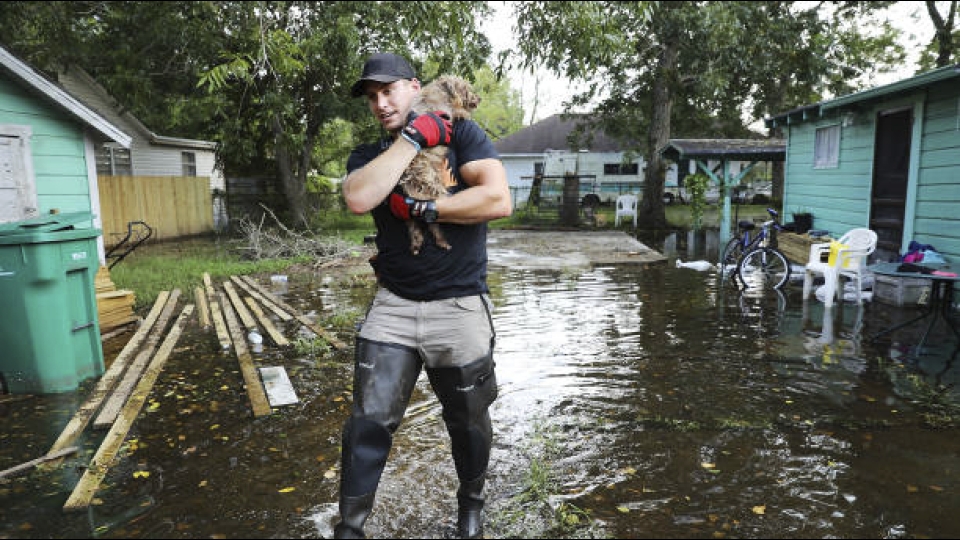 Three Dangerous Mistakes To Avoid During A Hurricane | WeatherBug