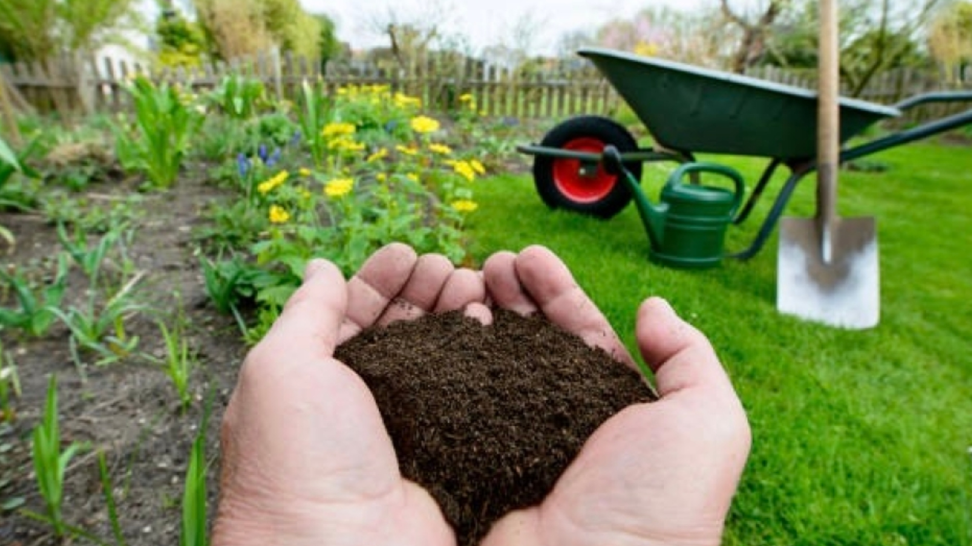 6 Outdoor Tasks To Get Done Before June | WeatherBug