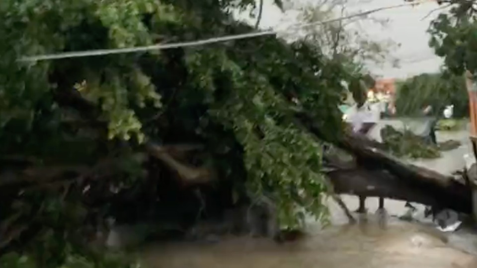 Hurricane Fiona Downs Trees in Dominican Republic | WeatherBug