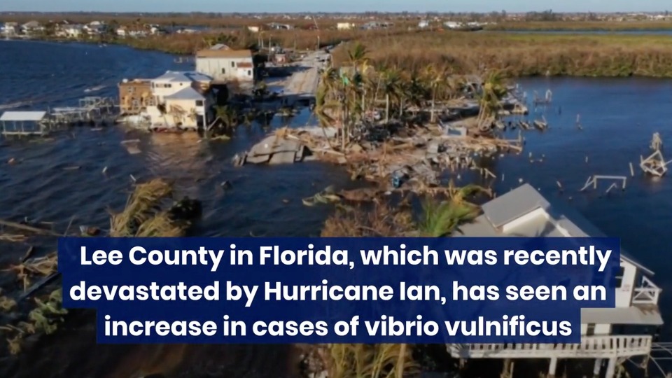 Flesh Eating Bacteria Cases Spike In Florida After Hurricane Ian