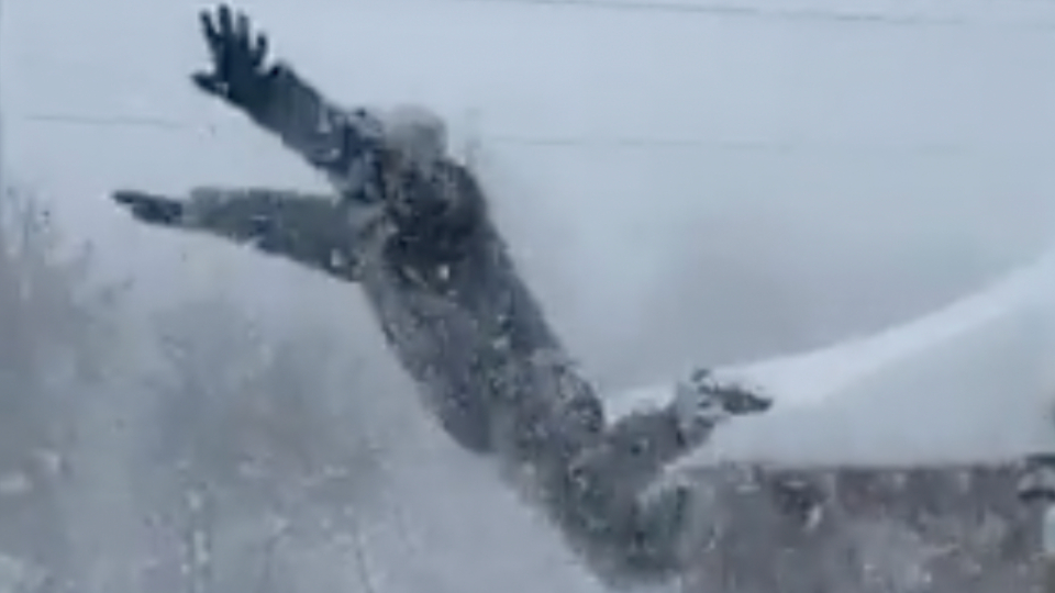 Man Dives Into Snow as Major Storm Hits | WeatherBug