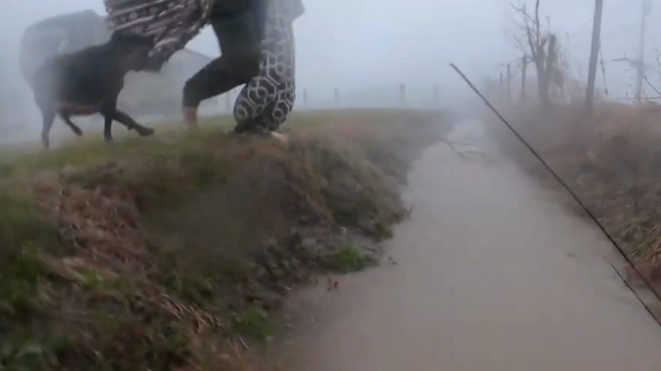 Couple Feel Dive Into Ditch During Texas Tornado | WeatherBug