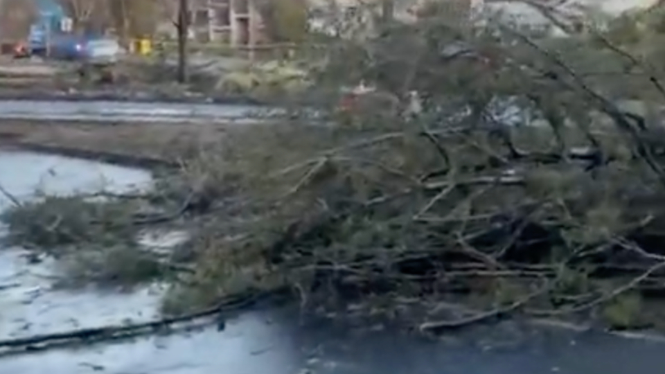 Police Officer Surveys Storm Damage | WeatherBug