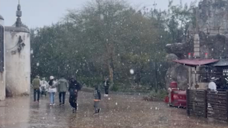 Snow Comes Down in Disneyland California | WeatherBug