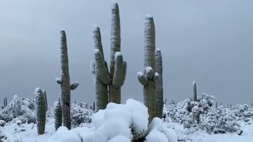 Desert Covered in Snow in Arizona | WeatherBug