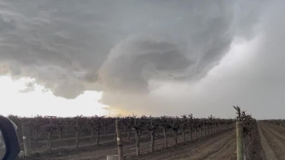 Hail Falls in California Vineyard | WeatherBug