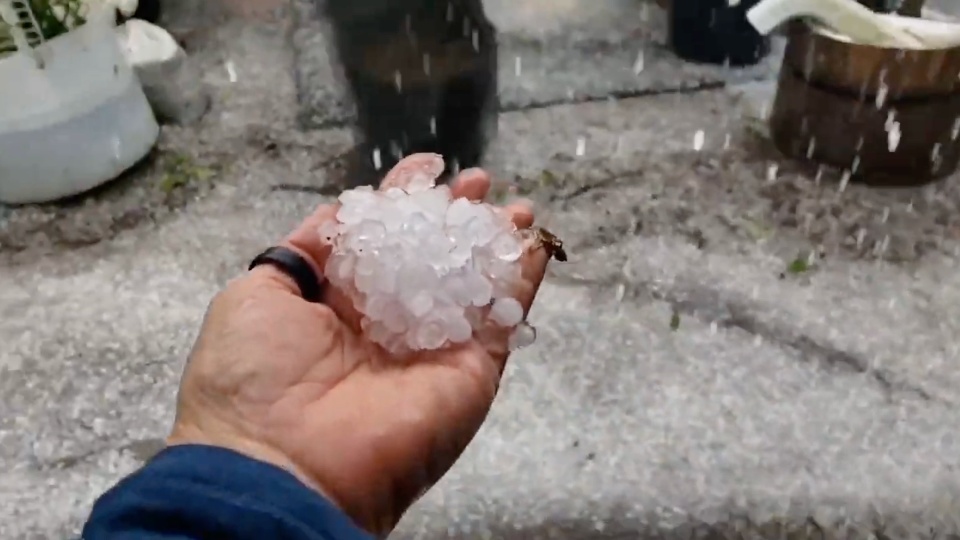 Hail Stones Turn Backyard White in Florida | WeatherBug