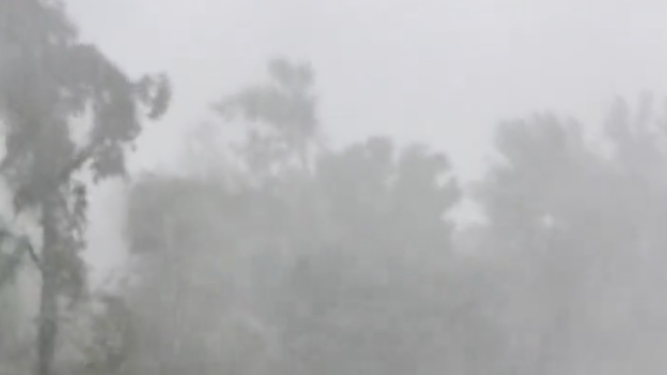 Insane Wind and Rain Lash Louisiana | WeatherBug