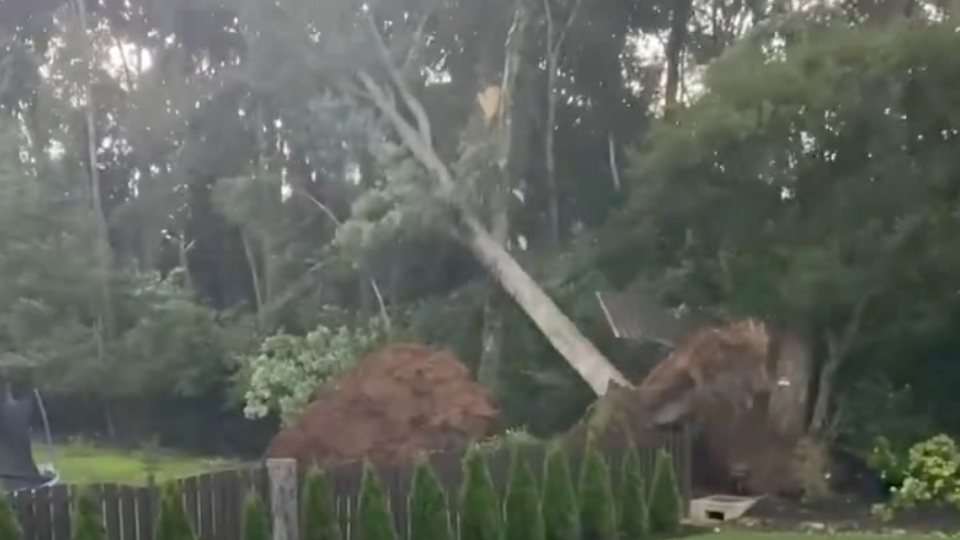 Trees Toppled by Severe Storm in Alabama | WeatherBug