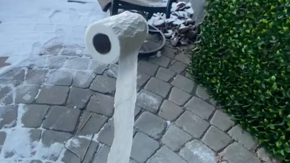 Frozen Toilet Paper Roll Defies Gravity | WeatherBug