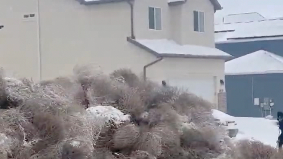 Thousands of Tumbleweeds Swept in by Strong Winds | WeatherBug