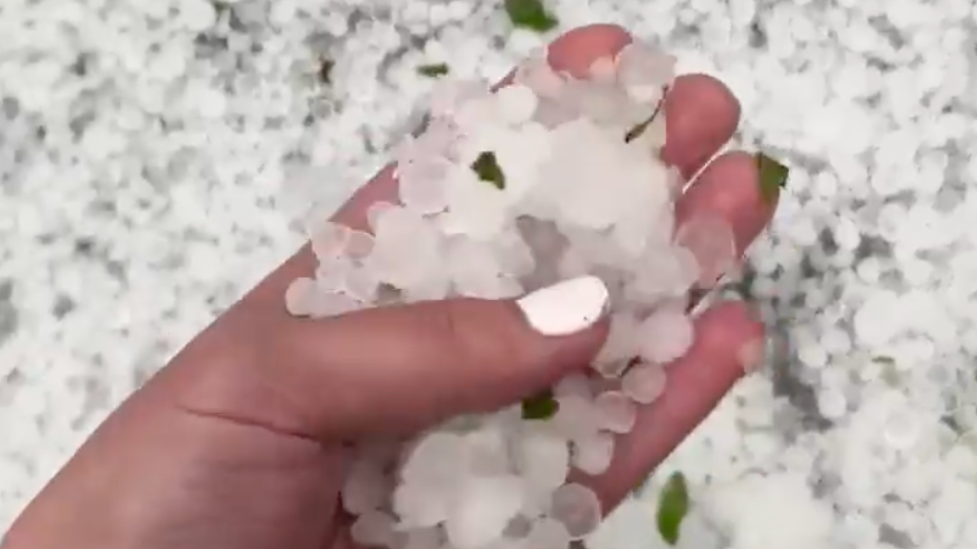 Storm Leaves Layer of Hail in South Carolina | WeatherBug