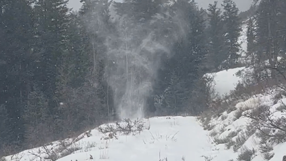 Snownado Spotted While Walking Dogs in Utah | WeatherBug